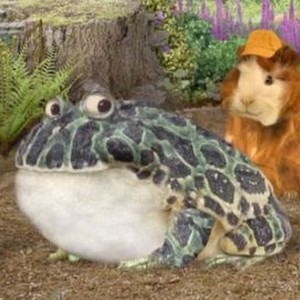 The Wonder Pets!: Season 2, Episode 3 - Rotten Tomatoes