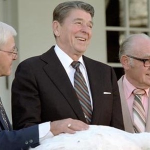 The Reagan Show - Rotten Tomatoes