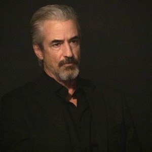 Section 8 - Rotten Tomatoes