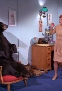 Bewitched - Season 8 Episode 15 - Rotten Tomatoes