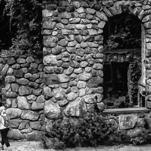 The Ruins - Rotten Tomatoes