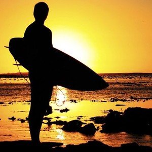 The Perfect Wave - Rotten Tomatoes