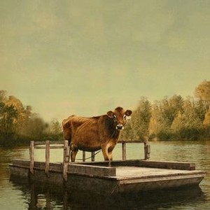 First Cow - Rotten Tomatoes