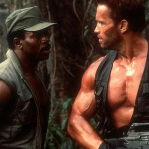 Predator - Rotten Tomatoes