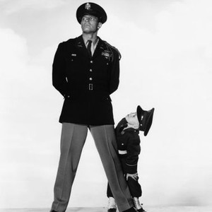 Tim Hovey - Rotten Tomatoes