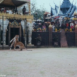 Two Brothers - Rotten Tomatoes