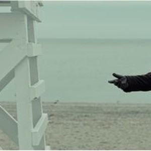 Auggie - Rotten Tomatoes