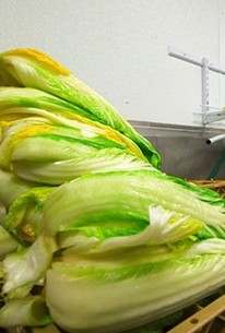 Food Factory: Season 2, Episode 2 - Rotten Tomatoes