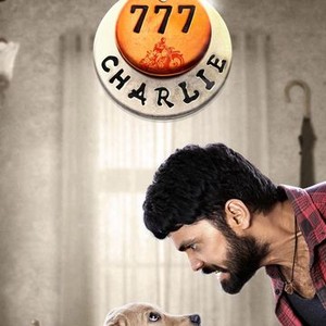 777 Charlie - Rotten Tomatoes