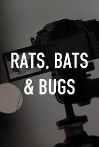 Rats, Bats & Bugs | Rotten Tomatoes
