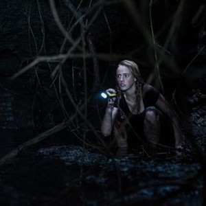 Crawl - Rotten Tomatoes