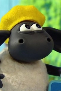 Timmy Time: Season 1, Episode 8 - Rotten Tomatoes