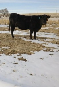 Beyond Skinwalker Ranch: Season 1, Episode 4 - Rotten Tomatoes