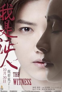 The Witness (2015) | Rotten Tomatoes