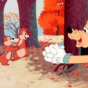 Pluto: Food for Feudin' - Rotten Tomatoes