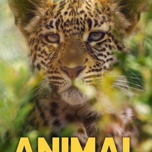 Animal - Rotten Tomatoes