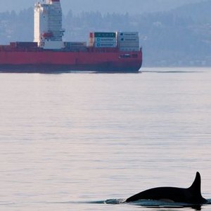 Coextinction - Rotten Tomatoes