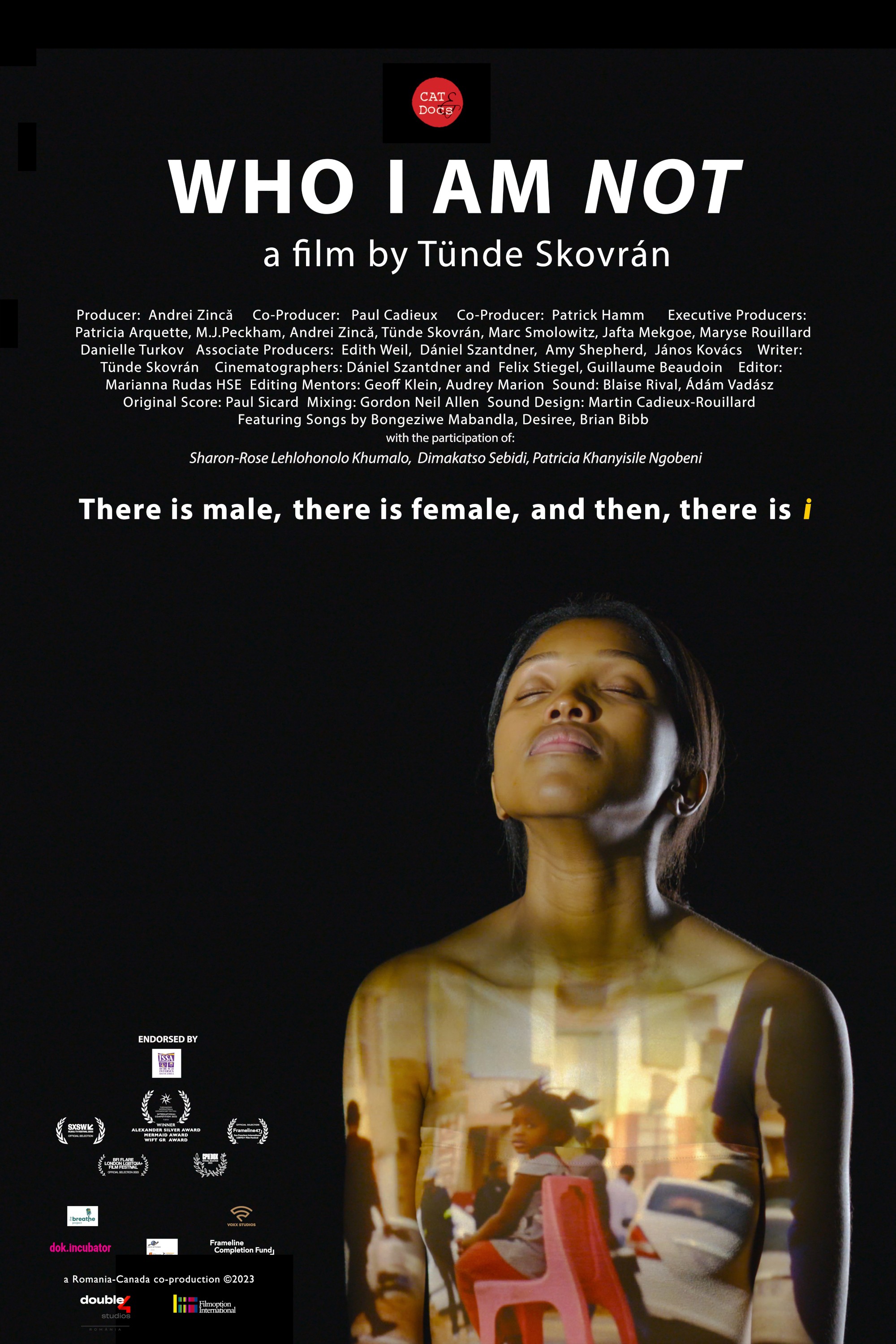 Who I Am Not - Rotten Tomatoes