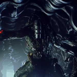 Aliens vs. Predator: Requiem - Rotten Tomatoes