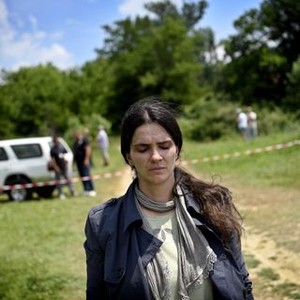 Hive - Rotten Tomatoes