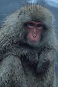 Night on Earth: Season 1, Episode 2 - Rotten Tomatoes