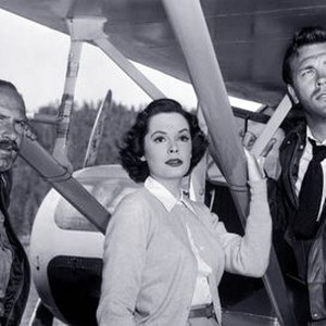 Desperate Search - Rotten Tomatoes