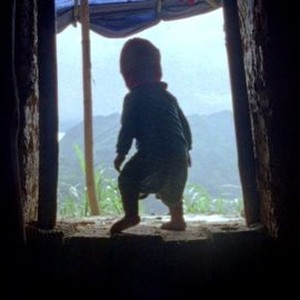 The Tree House - Rotten Tomatoes