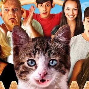 A Talking Cat? - Rotten Tomatoes