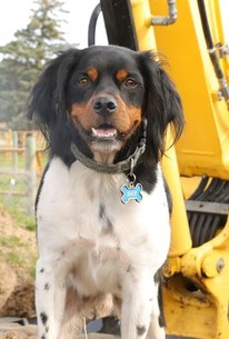 The Incredible Pol Farm: Season 1, Episode 5 | Rotten Tomatoes