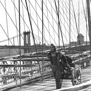 David Haskell - Rotten Tomatoes