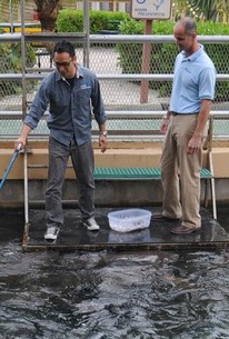 Fish Tank Kings: Season 1, Episode 2 | Rotten Tomatoes