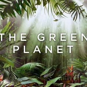 The Green Planet: Season 1, Episode 1 - Rotten Tomatoes