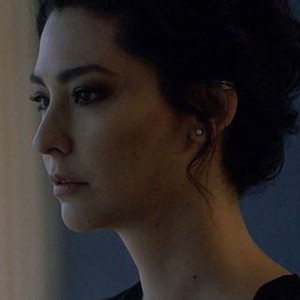 The Critic - Rotten Tomatoes