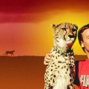 Cheetah - Rotten Tomatoes
