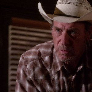 Grainger Hines - Rotten Tomatoes