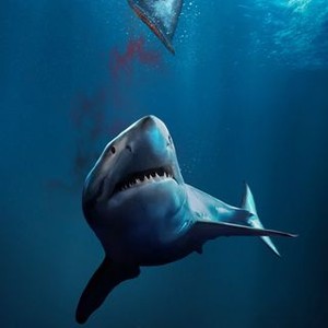 Fin - Rotten Tomatoes