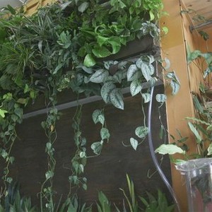 Open House NYC: Season 11, Episode 22 - Rotten Tomatoes