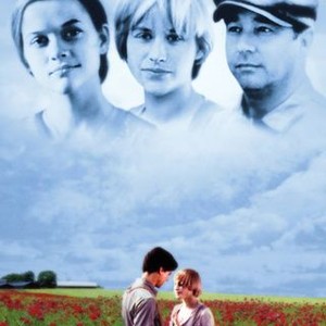 Wildflower - Rotten Tomatoes
