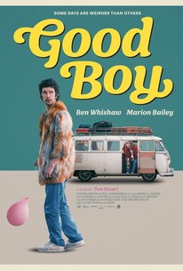 Good Boy (2023) | Rotten Tomatoes