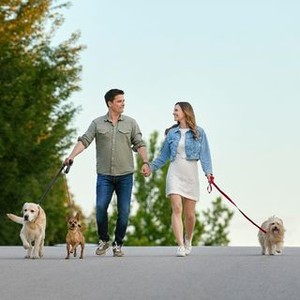 The More Love Grows - Rotten Tomatoes