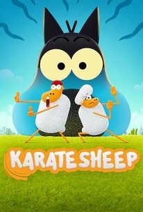 Karate Sheep: Season 2, Episode 6 | Rotten Tomatoes
