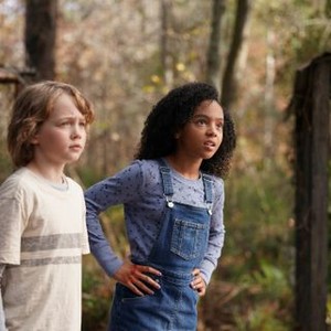 The Tiger Rising - Rotten Tomatoes