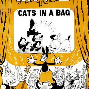 Cats in a Bag - Rotten Tomatoes