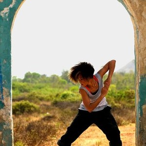 Raging Phoenix - Rotten Tomatoes