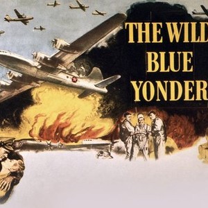 The Wild Blue Yonder - Rotten Tomatoes