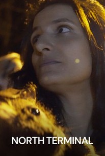 North Terminal | Rotten Tomatoes