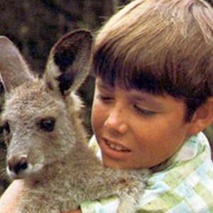 Skippy - Rotten Tomatoes