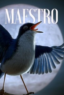 Maestro - Movie Reviews - Rotten Tomatoes