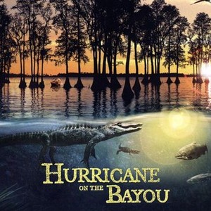 Hurricane on the Bayou - Rotten Tomatoes