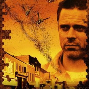 Killer Bees - Rotten Tomatoes